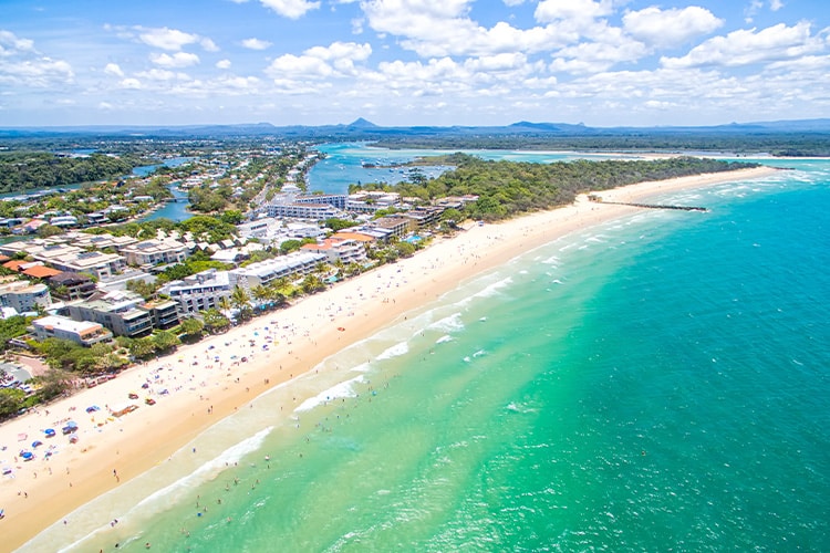 Noosa Pest Control - Flick Pest Control