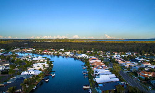 Sunshine Coast Pest Control – Cockroach, Rodent, Bed Bug & Termite ...