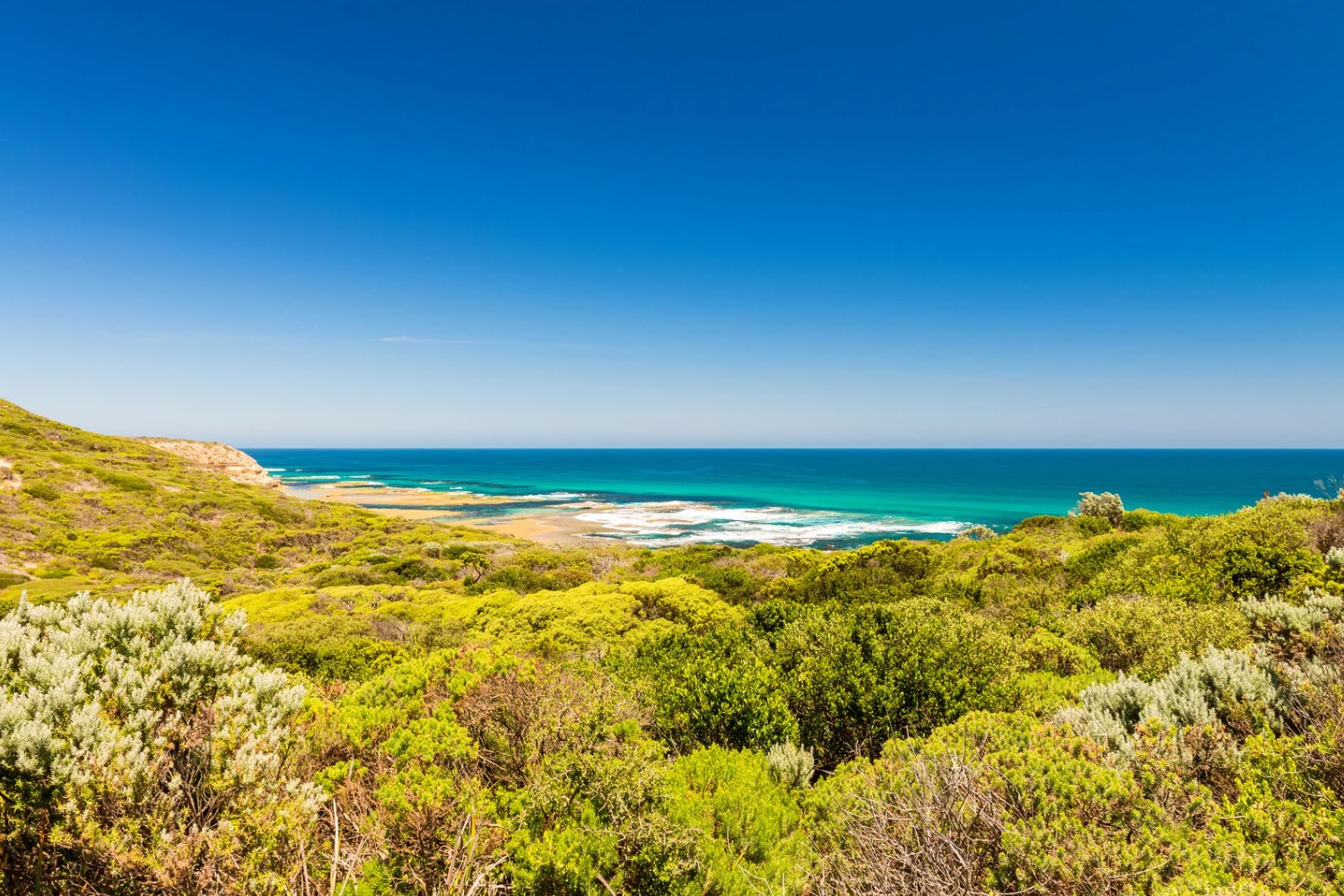 Capel Sound Pest Control - Termite, Rodent & Cockroach Treatment