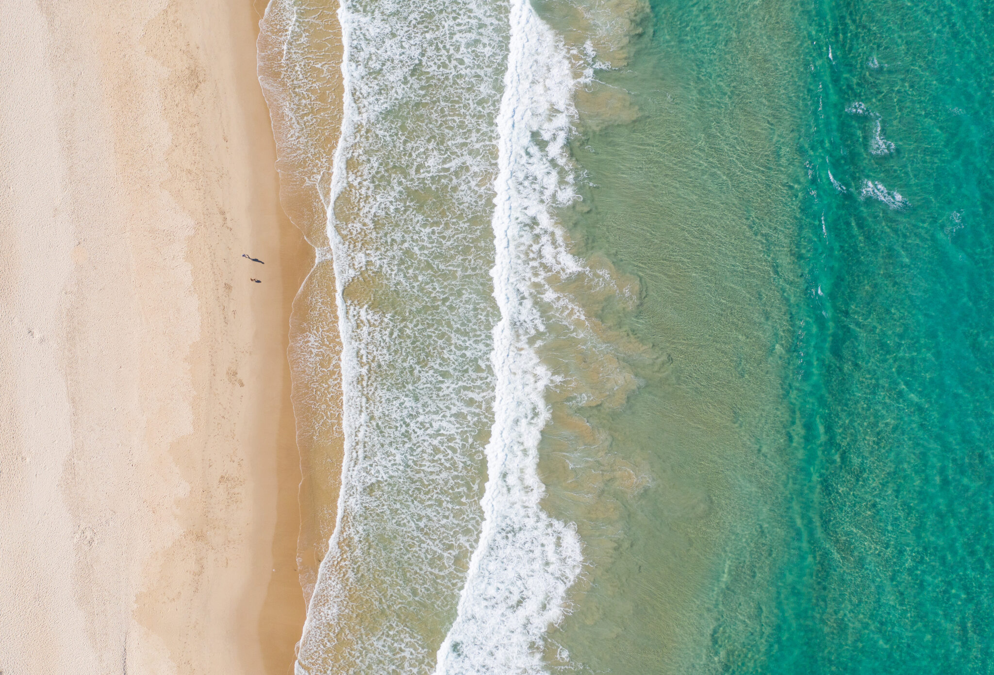Castaways Beach Pest Control - Termite, Rodent & Cockroach