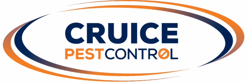 Cruice Pest Control - Flick Pest Control