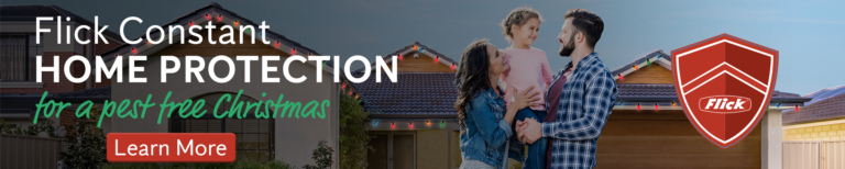 Home Protection Subscriber Christmas Giveaway | Flick