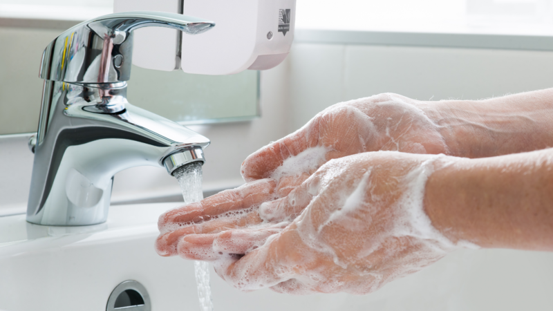 The Importance of Hand Hygiene in Winter - Flick Pest Control
