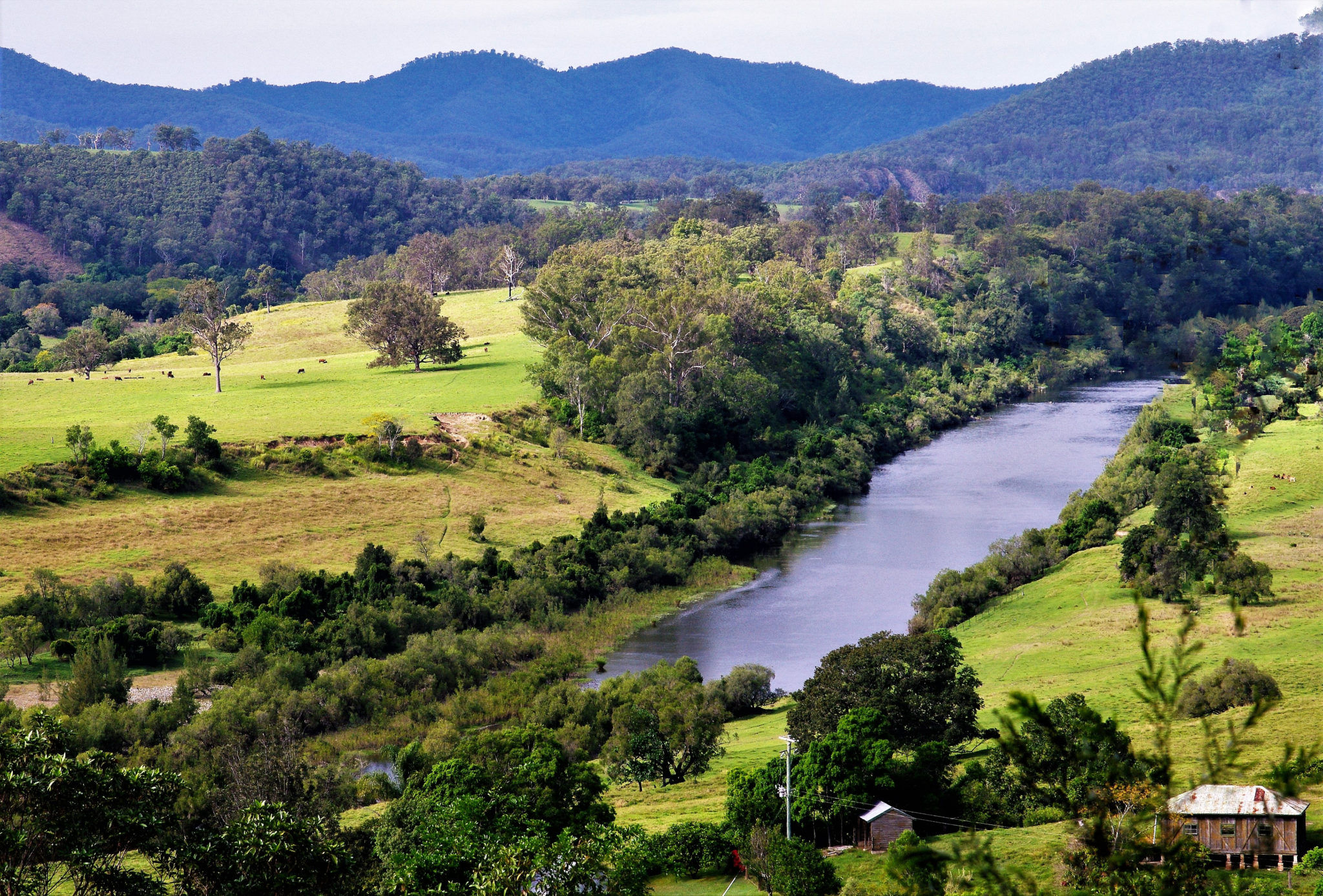 Pest Control Kempsey | Flick Pest Control Kempsey