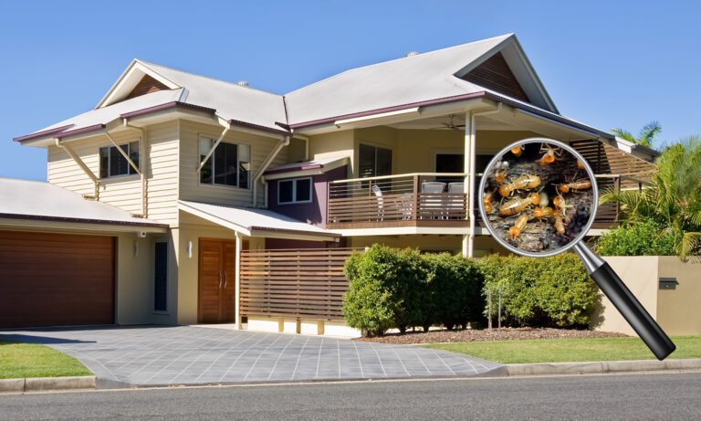 Newcastle Pest Control - Cockroach, Rodent, Bed Bug & Termite Treatment
