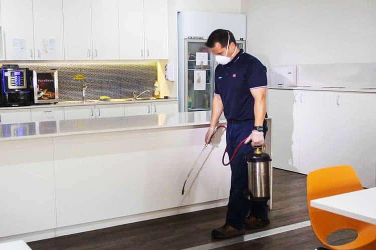 Sydney Pest Control, Termite, Cockroach, Rodent & Bed Bug Treatment ...