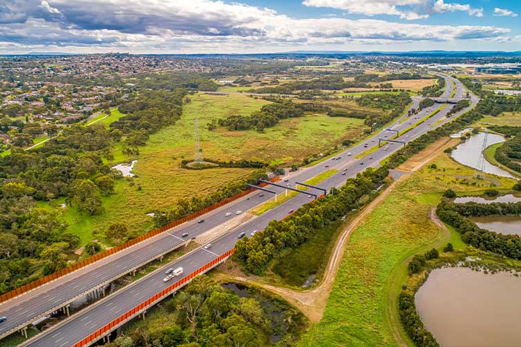 Rowville Pest Control – Local Pest Exterminator