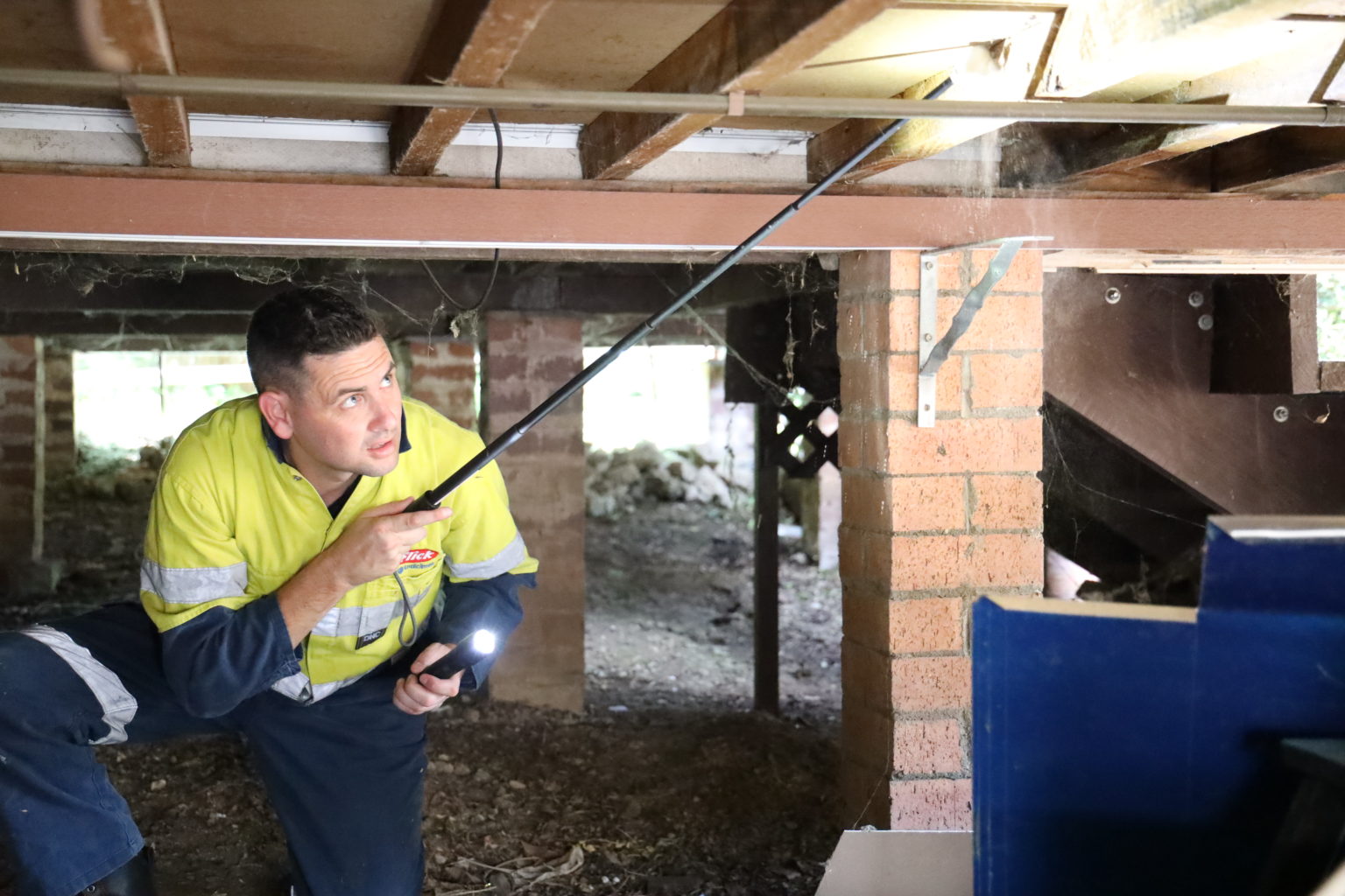 Australia's Termite Control Experts - Inspections & Treatments - Flick ...