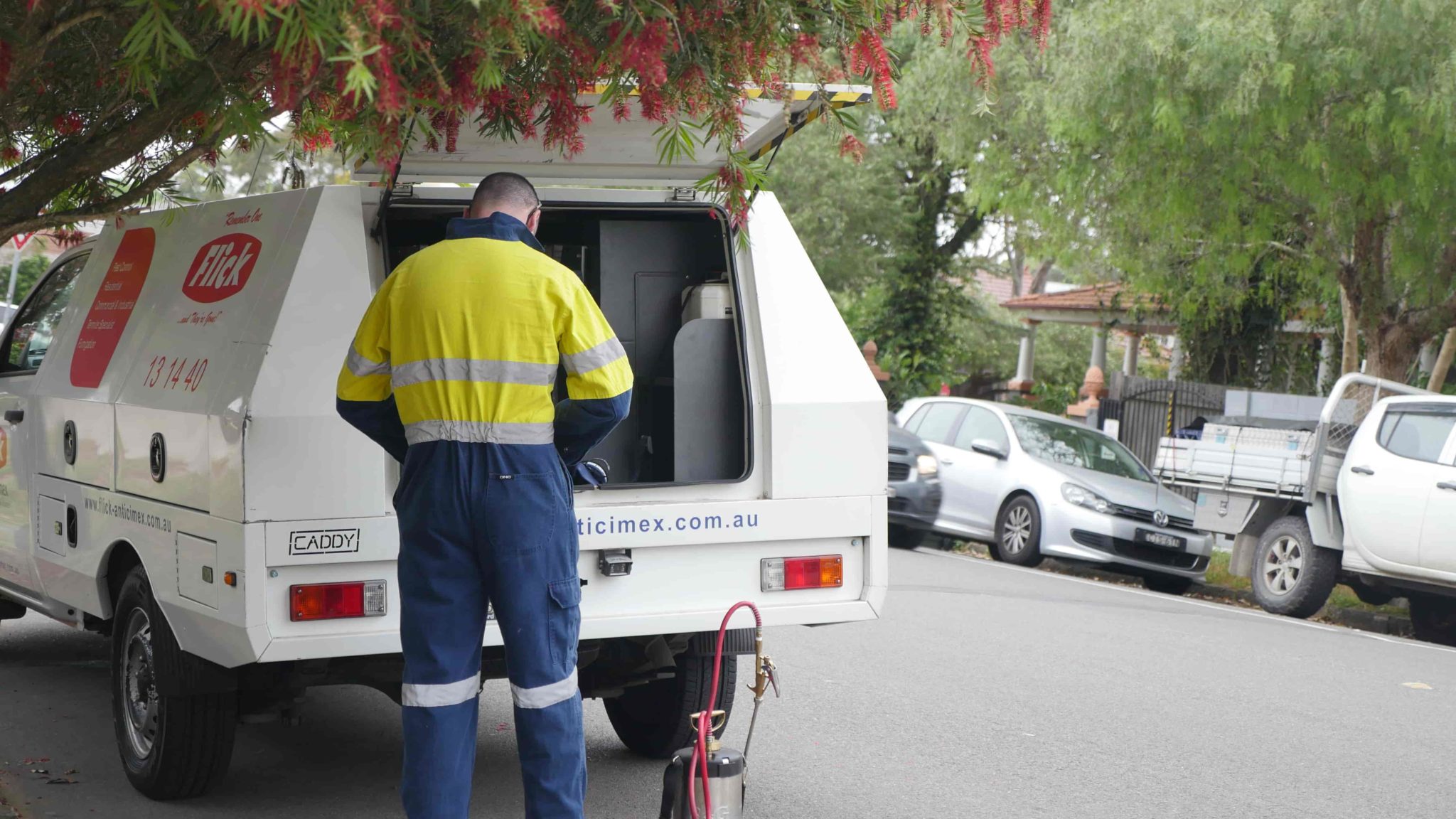 How to Prepare for My Pest Service - Flick Pest Control