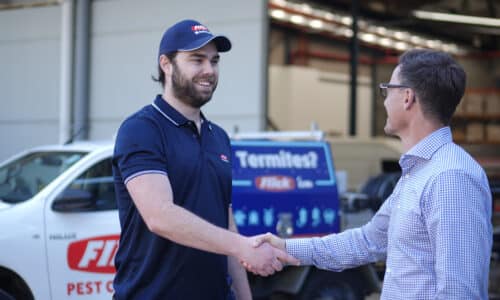 Commercial Pest Control Sydney: Protect Your Business [2026] - Flick ...