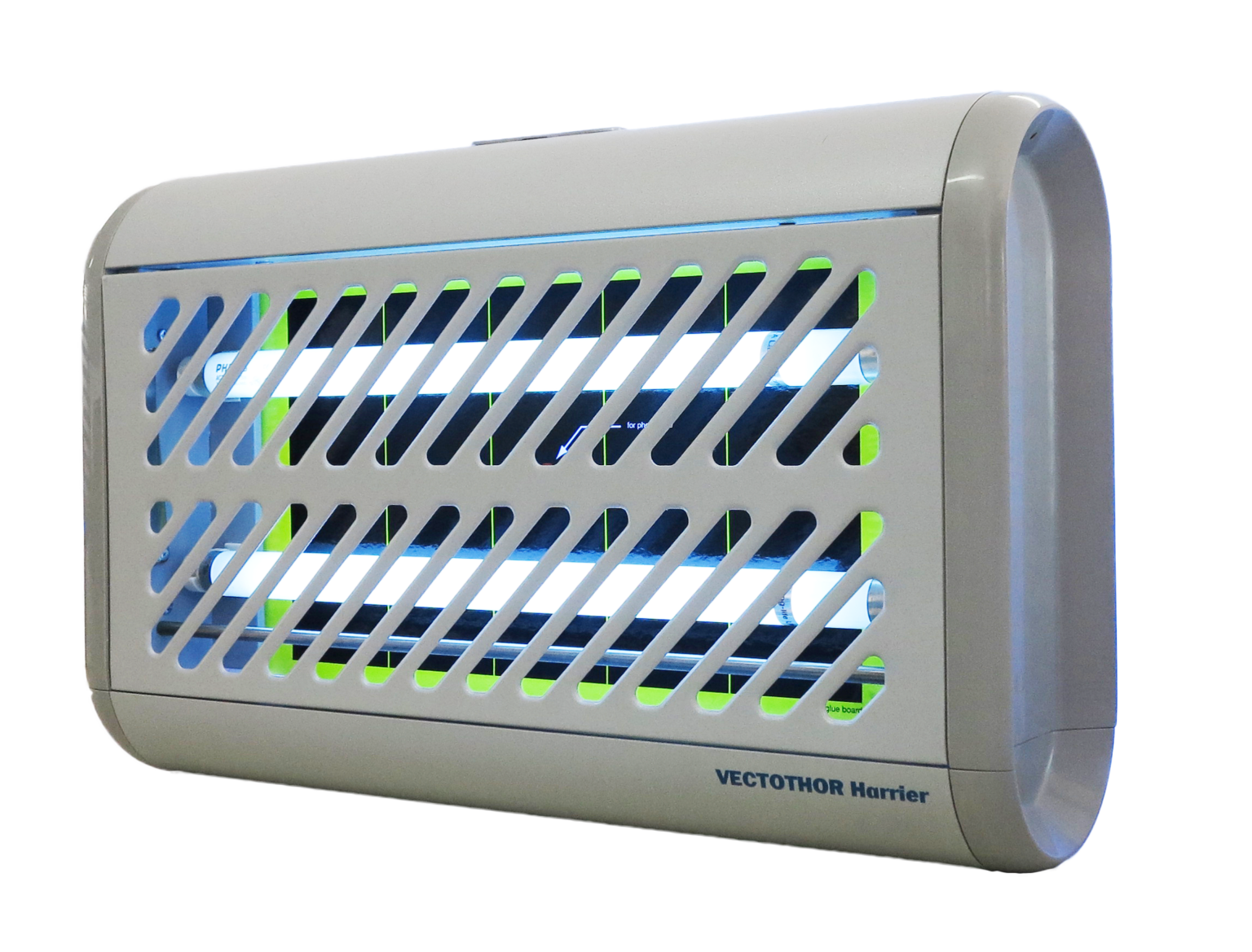 Flying Insect Control Service - Flying Insect Exterminator