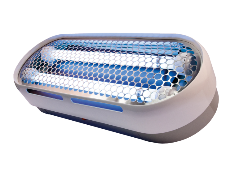 Flying Insect Control Service - Flying Insect Exterminator