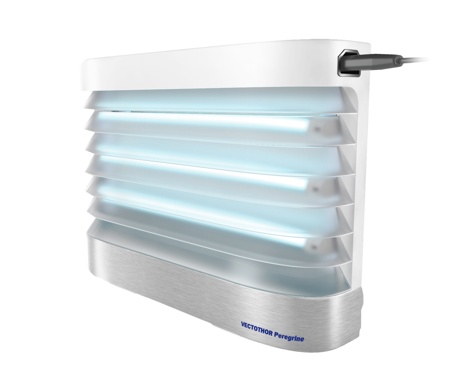 Flying Insect Control Service - Flying Insect Exterminator