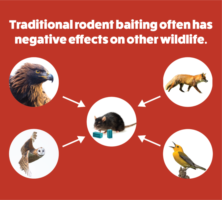 SMART Multi-Catch Rodent Stations | Safely Protect from pest