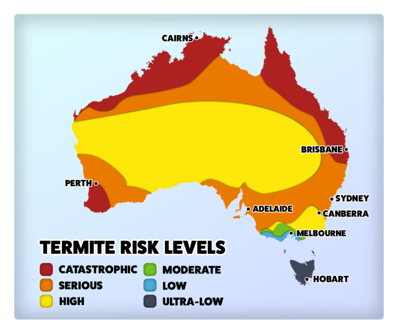 4 Signs That You Have a Termite Infestation - Flick Pest Control